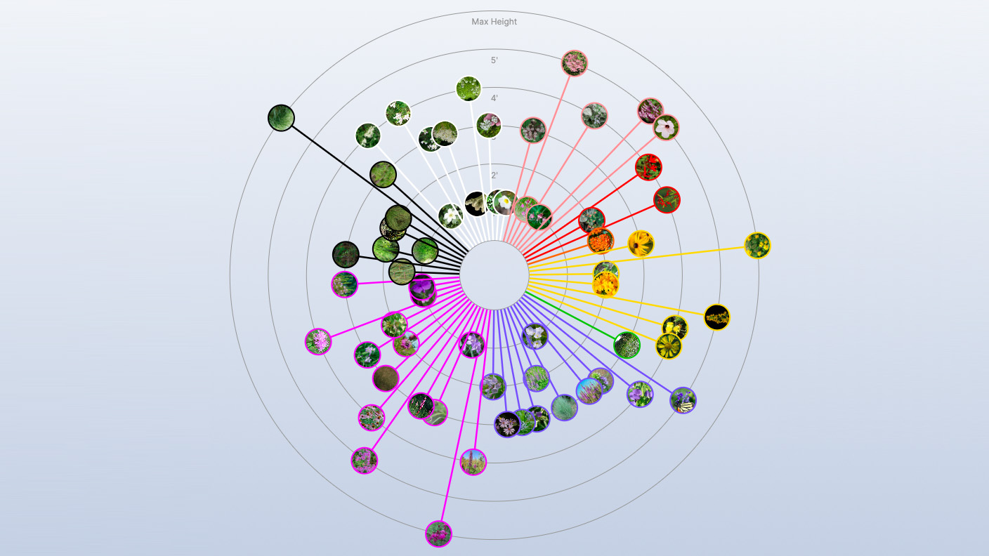 Discover Native Plants to Create a Meadow Garden: A Data Visualization